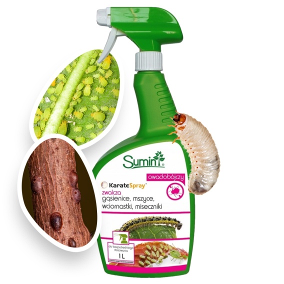 Karate Spray 500ml Środek Owadobójczy Do Zwalczania Szkodników w ...